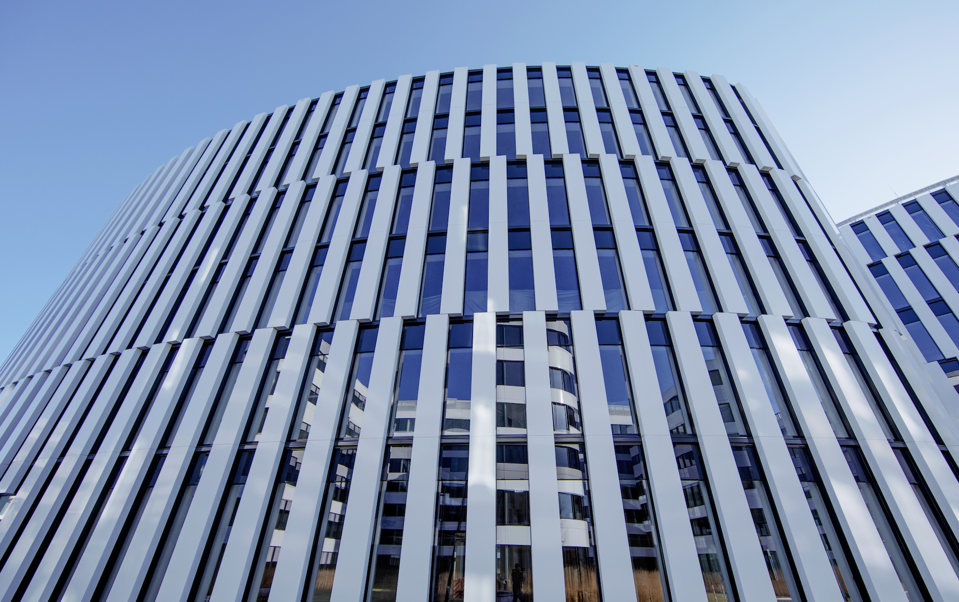 Bots, bots everywhere - Pretius