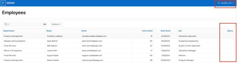 Oracle Data Masking Hide Information From Users With An Easy To Use Vpd Pretius