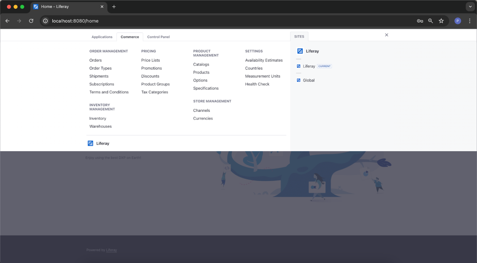 Liferay tutorial 2024: Installation, initial setup, key functionalities ...