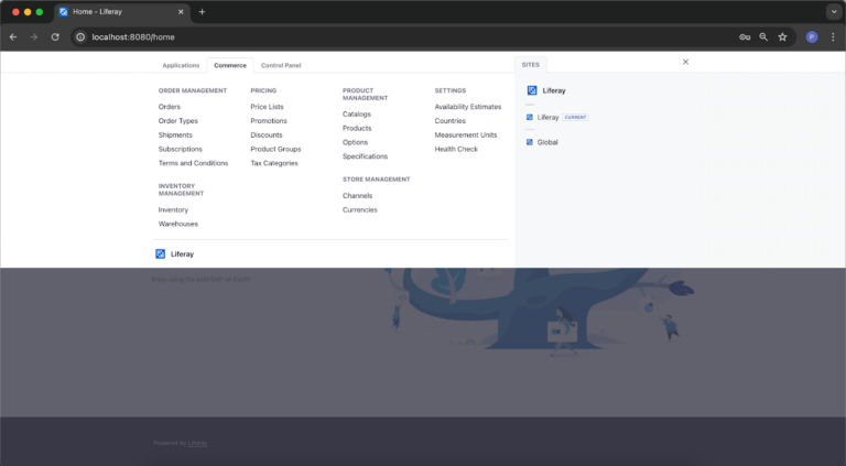 Liferay Tutorial 2024 Installation Initial Setup Key Functionalities And Widgets Pretius