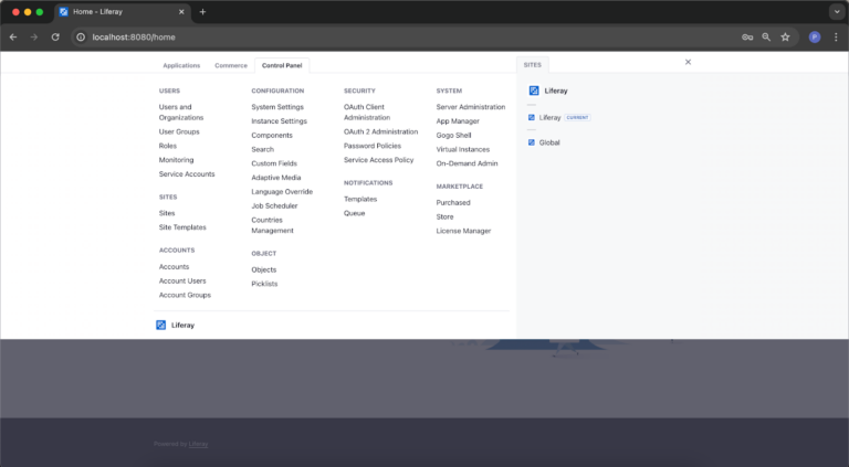 Liferay Tutorial 2024 Installation Initial Setup Key Functionalities And Widgets Pretius