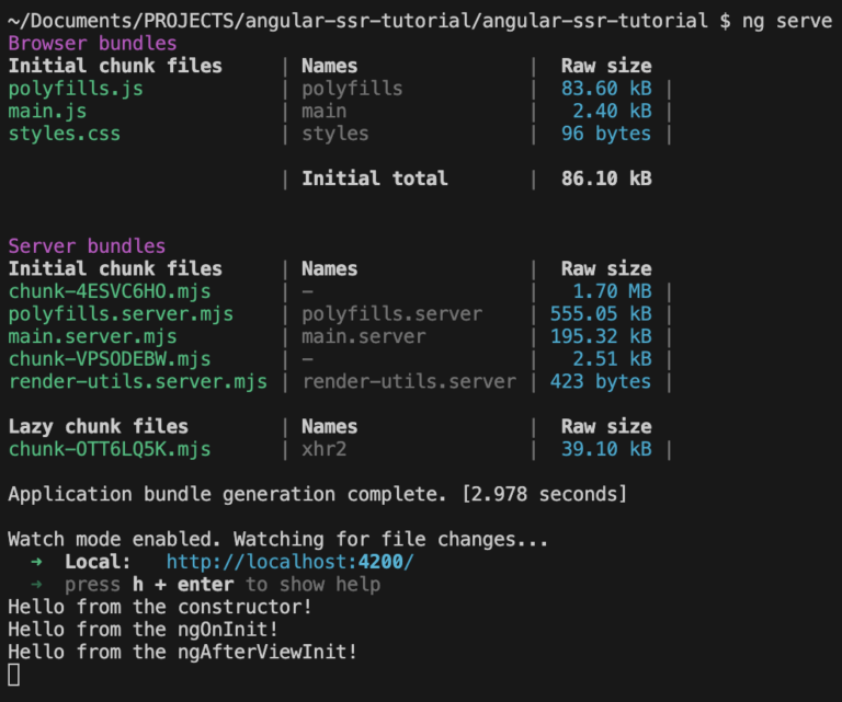 Angular Ssr Your Server Side Rendering Implementation Guide Pretius 