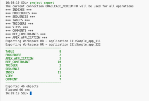 Oracle SQLcl Project command: The only CI/CD tool for APEX you need? - Pretius