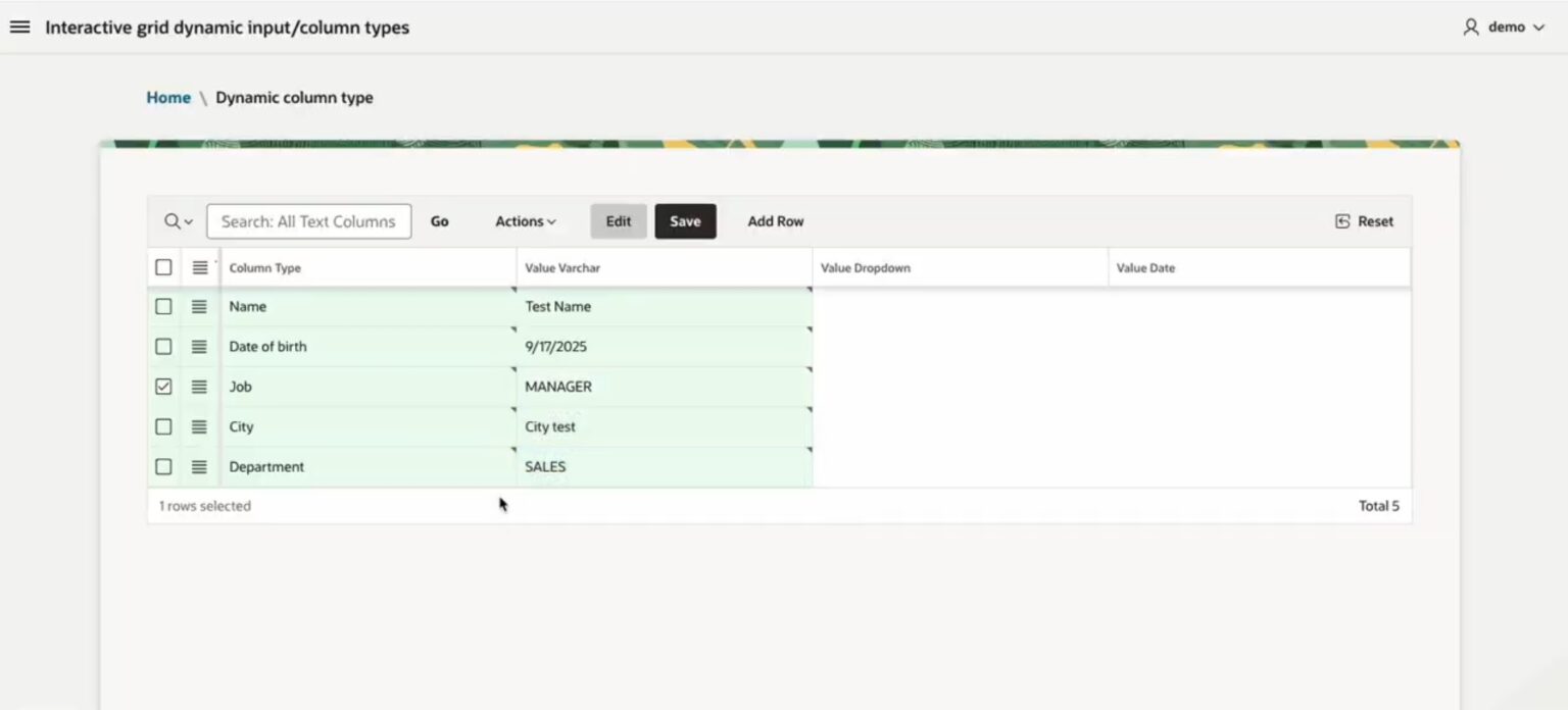 Step-by-step guide to Interactive Grids with Dynamic Column types ...